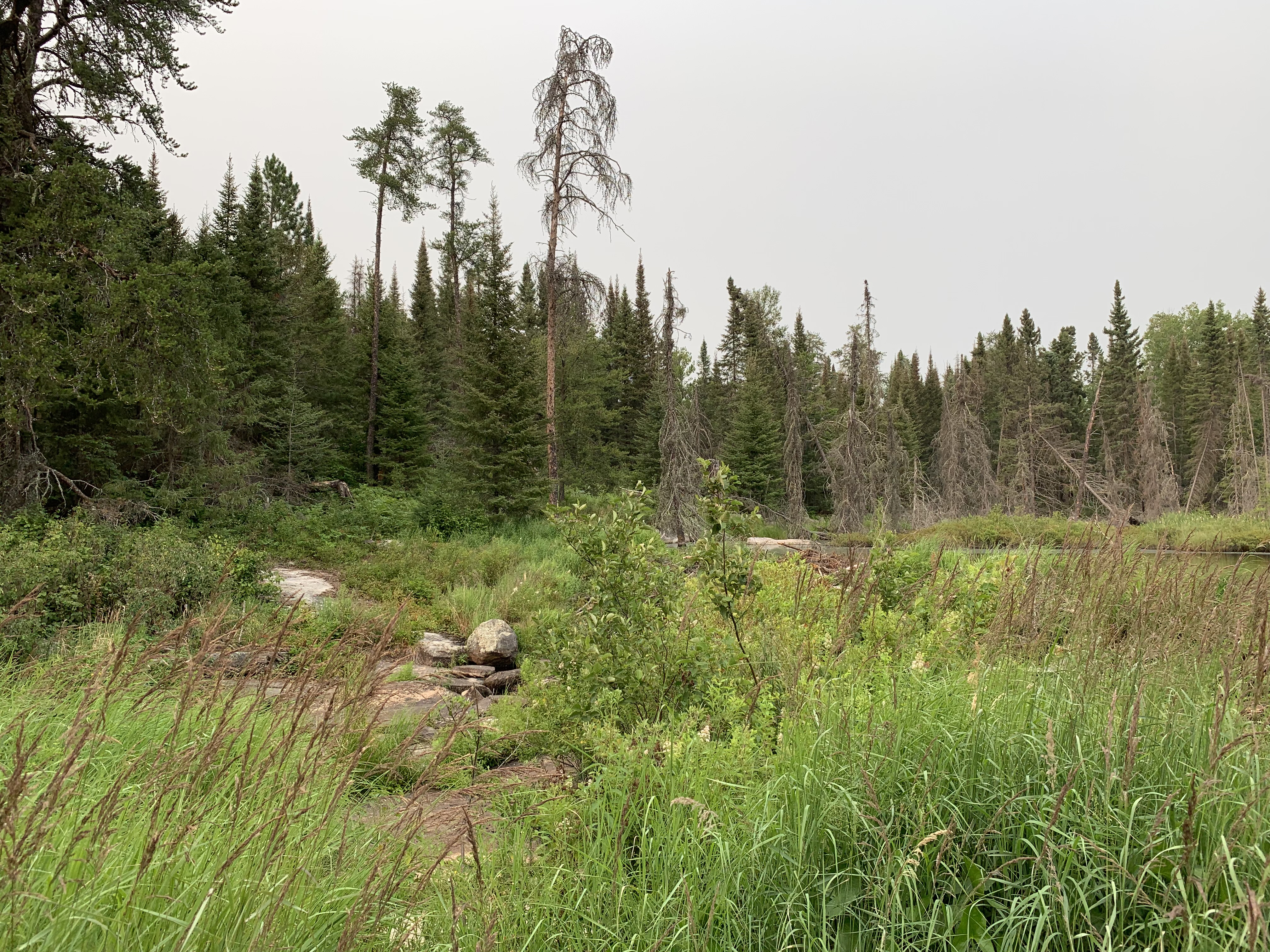 Portage River in the BWCA